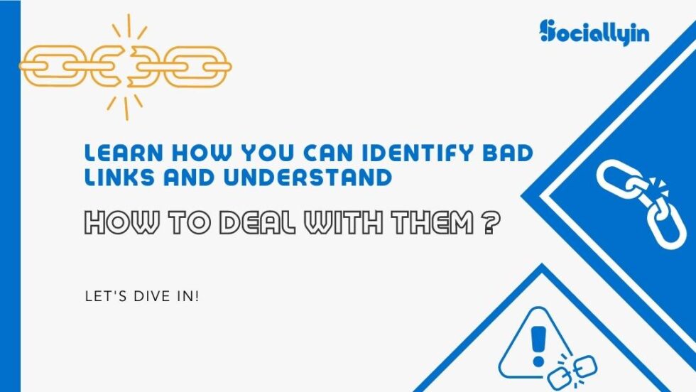 How to Detect Bad Links or Broken Links and What to Do About Them [SEO ...