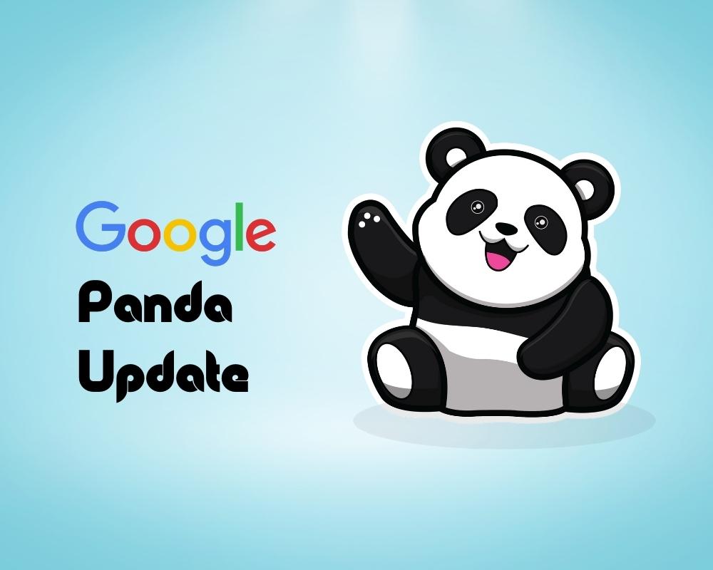 Understanding the Google Panda Update - SEO Facts by Sociallyin